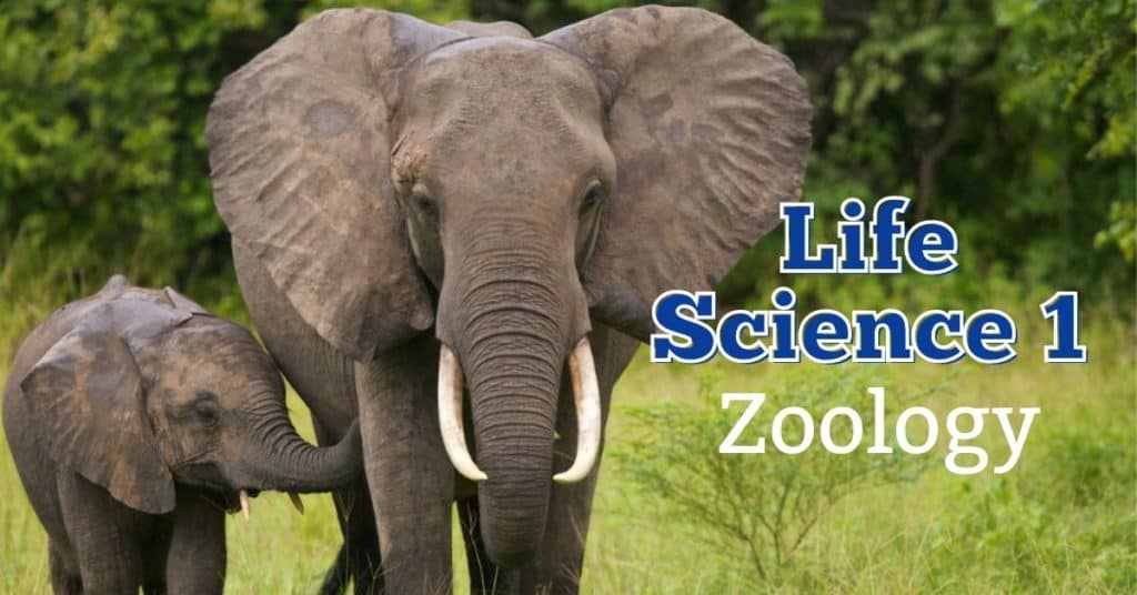 Life Science 1 and 2 | Aim Academy Online